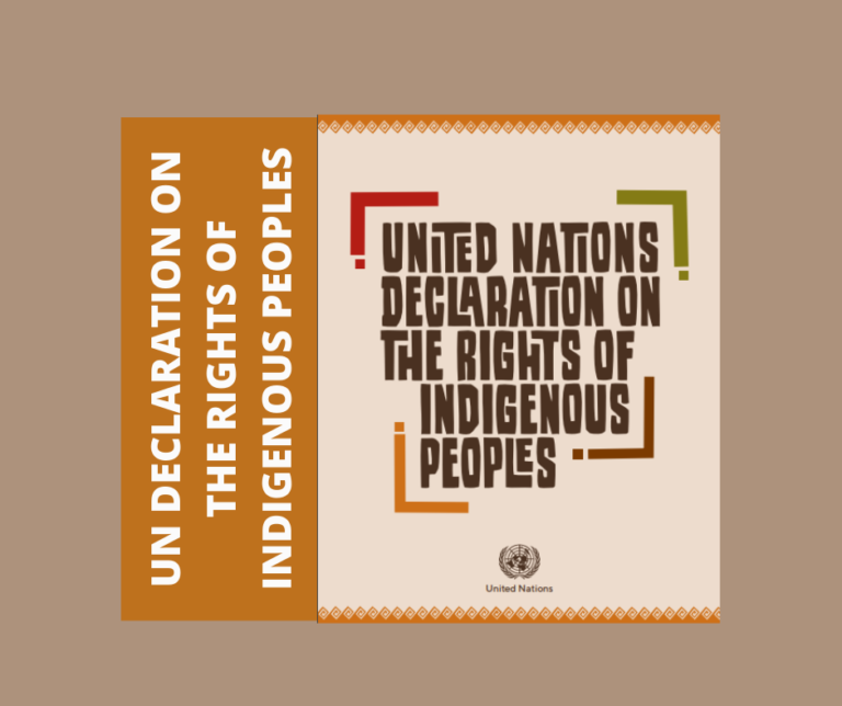 What is the UN Declaration on the Rights of Indigenous Peoples ...